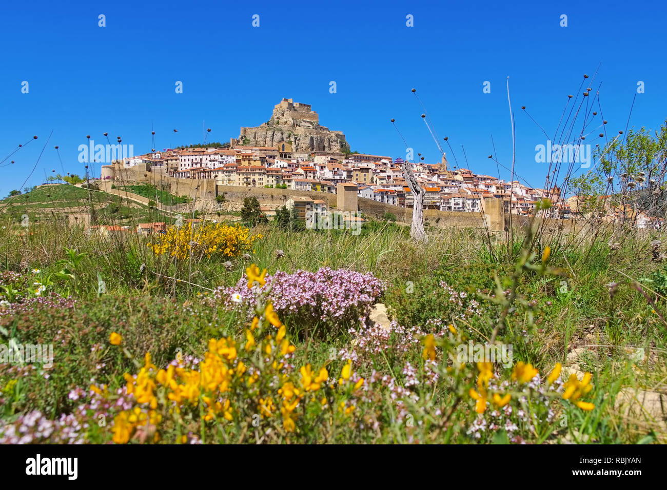 the old medieval town of Morella, Castellon in Spain Stock Photo - Alamy