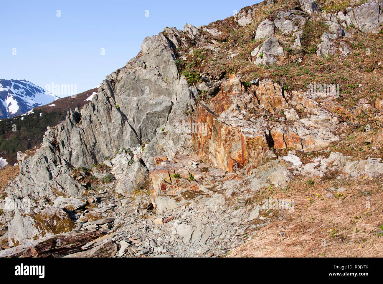 The scenic landscape with red color rocks on Mount Roberts in Juneau ...