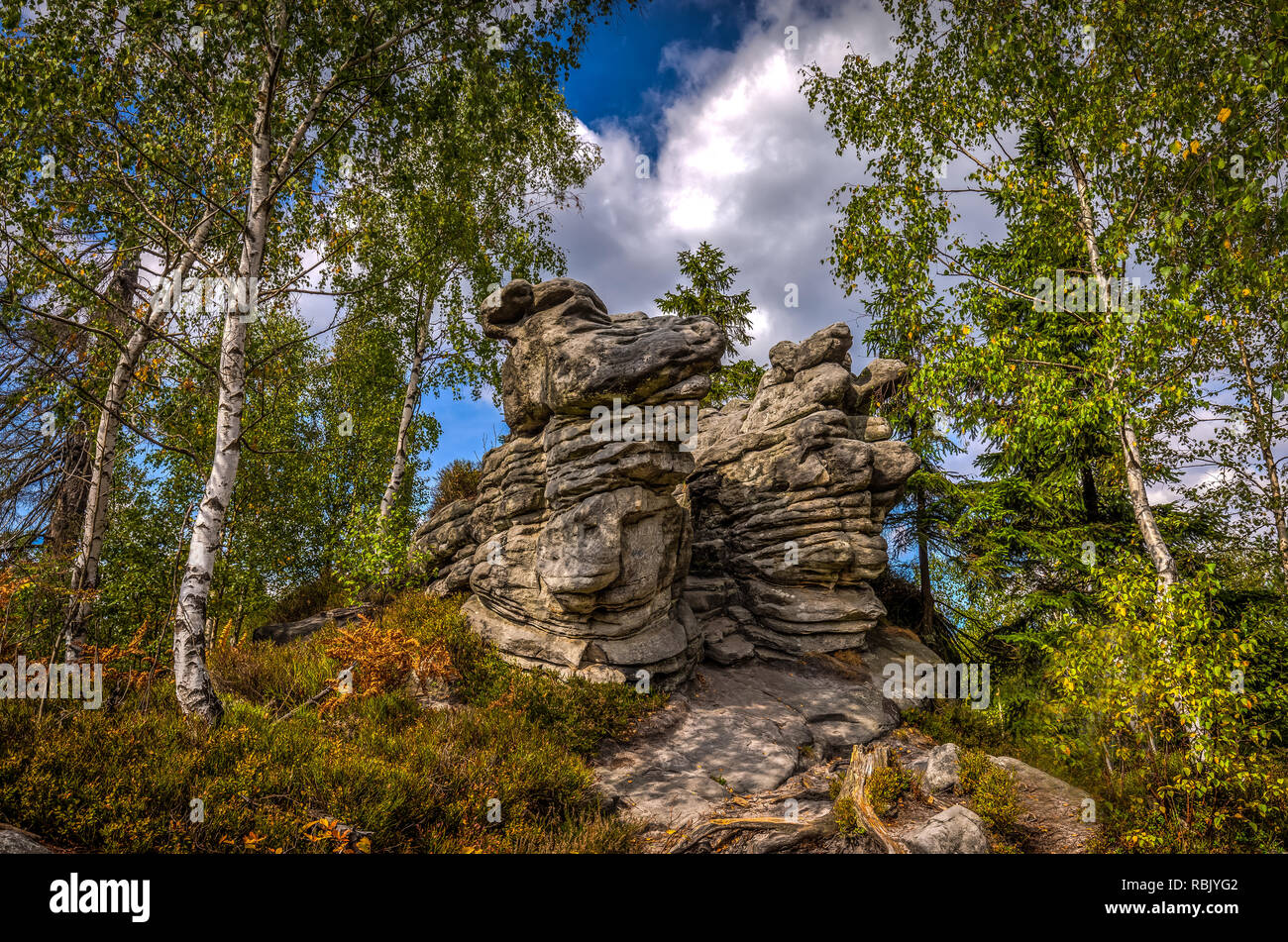 Scenic rock formation in autumn birch forest near stone labyrinth ...