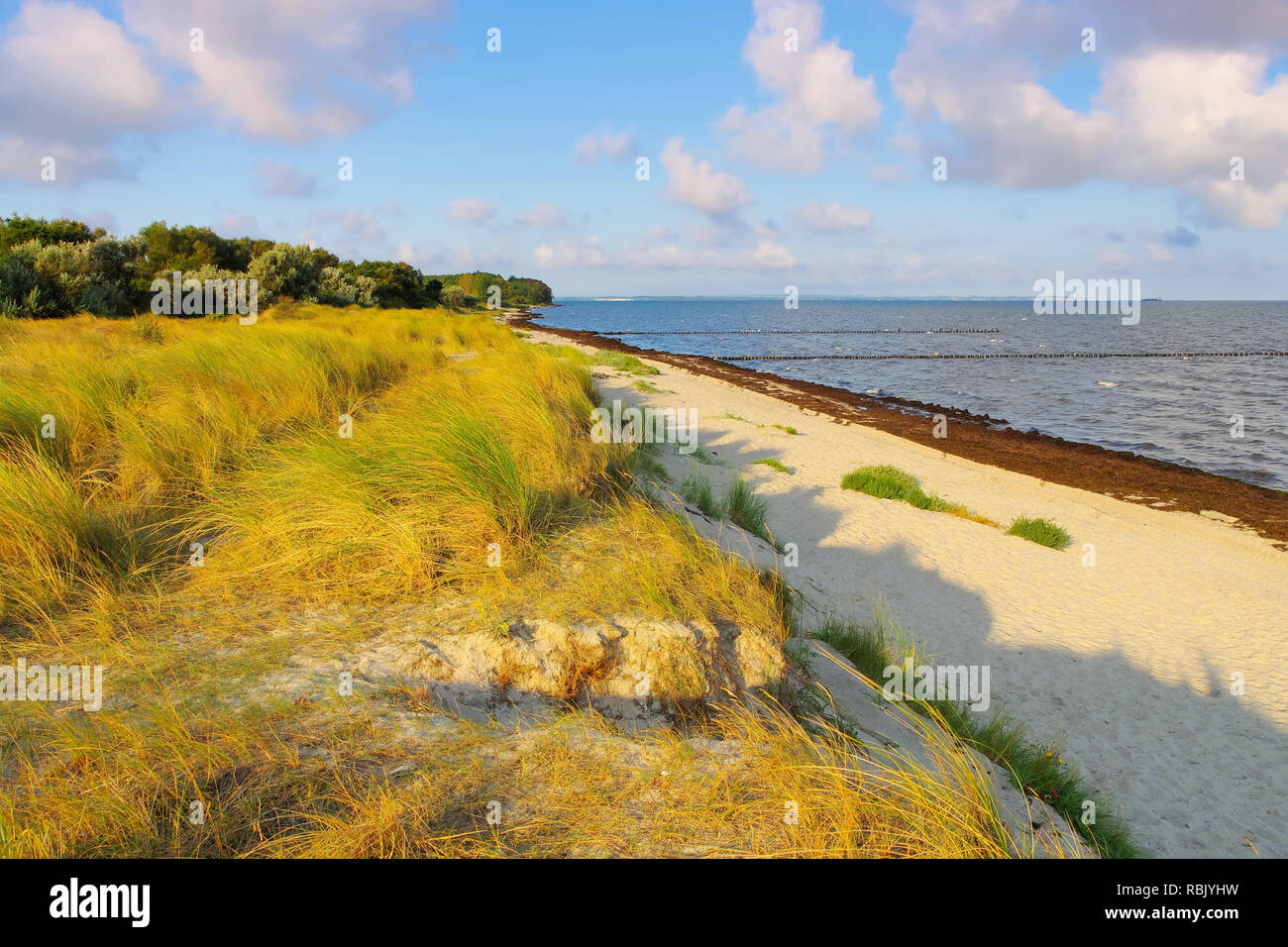 Poel beach at the black bush on the island of Poel in Germany Stock ...