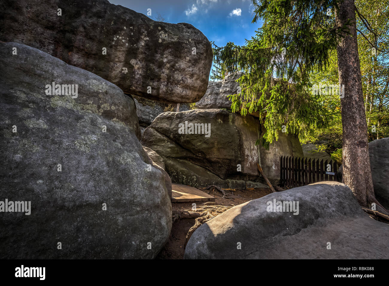 Scene tall tree rocks hi-res stock photography and images - Alamy