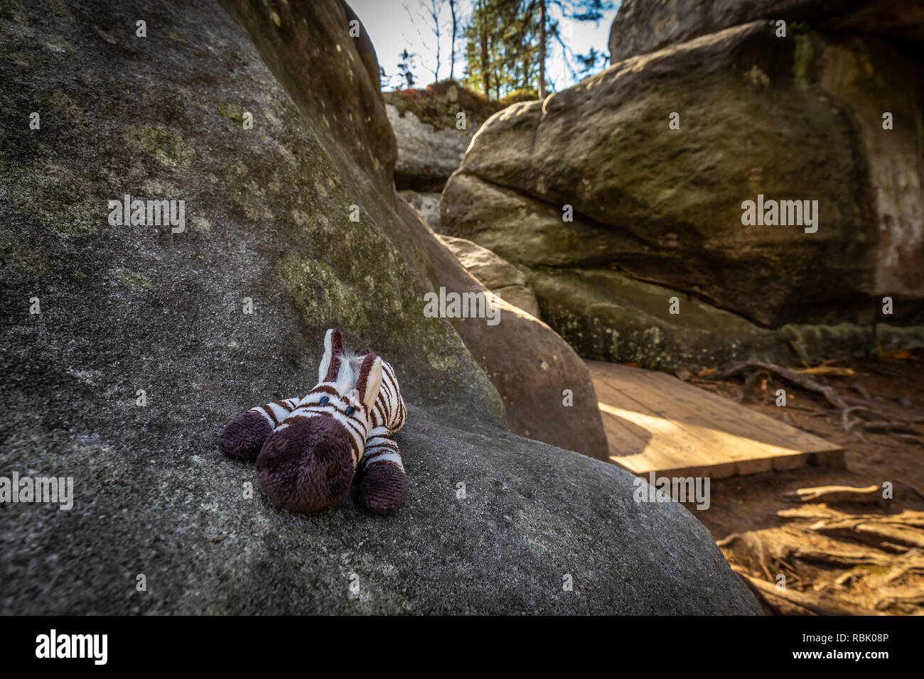 Cute small stuffed toy Zebra lying on big rock in stone labyrinth ...