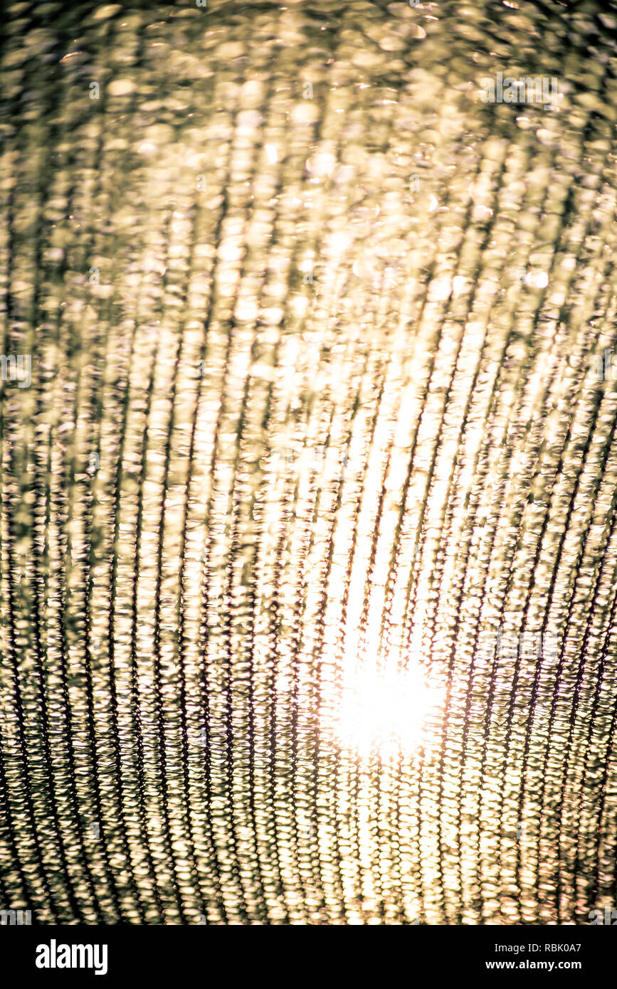 Bright colorful background from the rays of the sun. Backlit they can ...