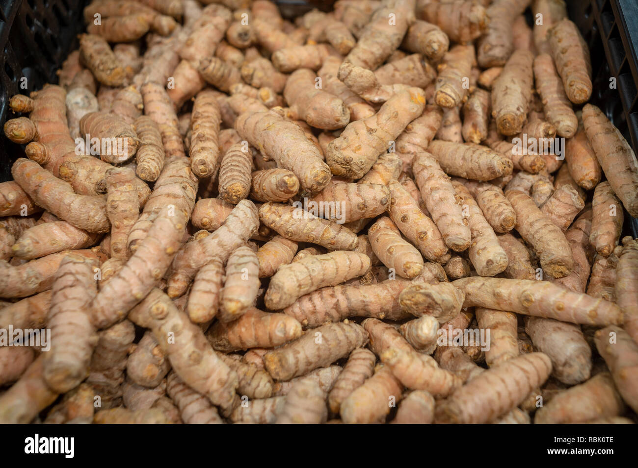 Tumeric rhizome hi-res stock photography and images - Alamy