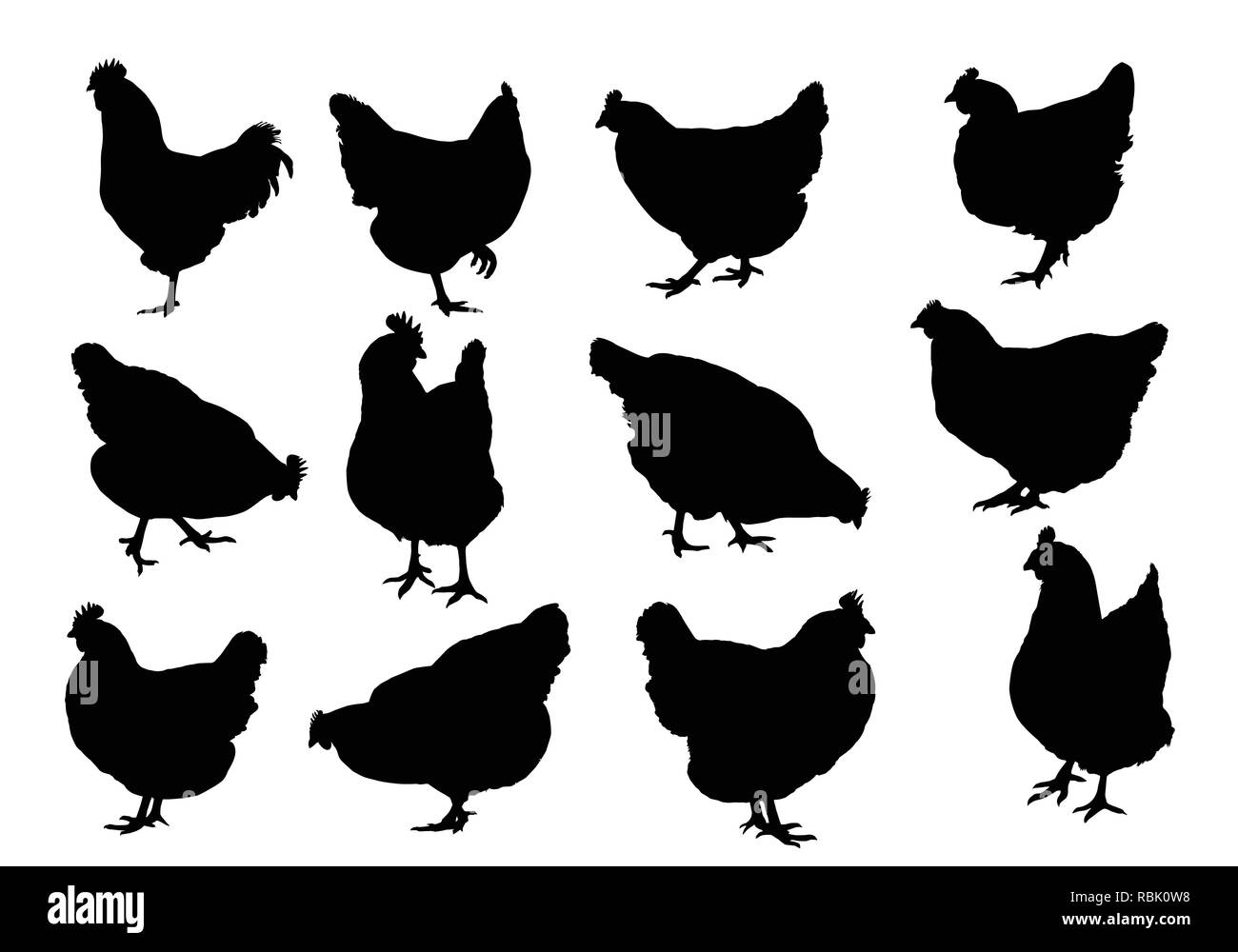 Set realistic silhouettes of three hens, rooster or chickens, pecking ...