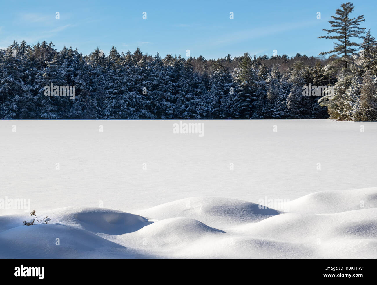 Lake muskoka snow hi-res stock photography and images - Alamy