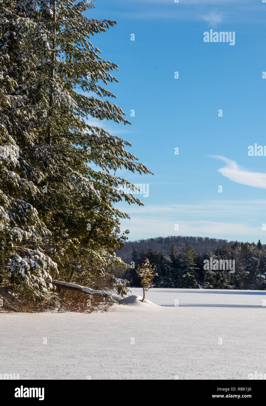 Frozen Turtle Lake at Limberlost Reserve in Muskoka Stock Photo - Alamy