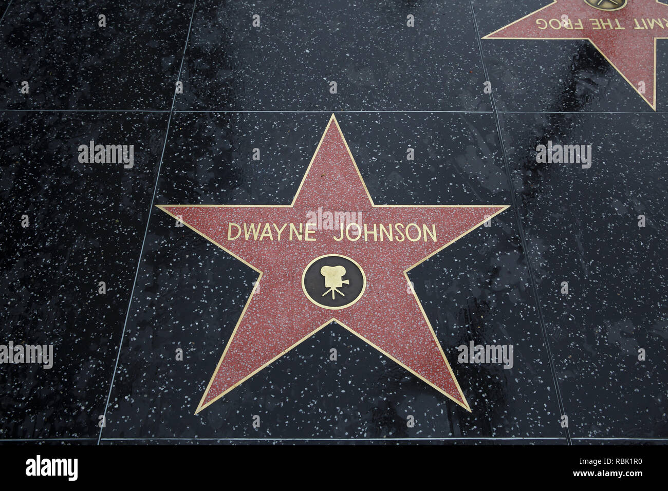Dwayne Johnson star on the Hollywood walk of Fame on Hollywood ...