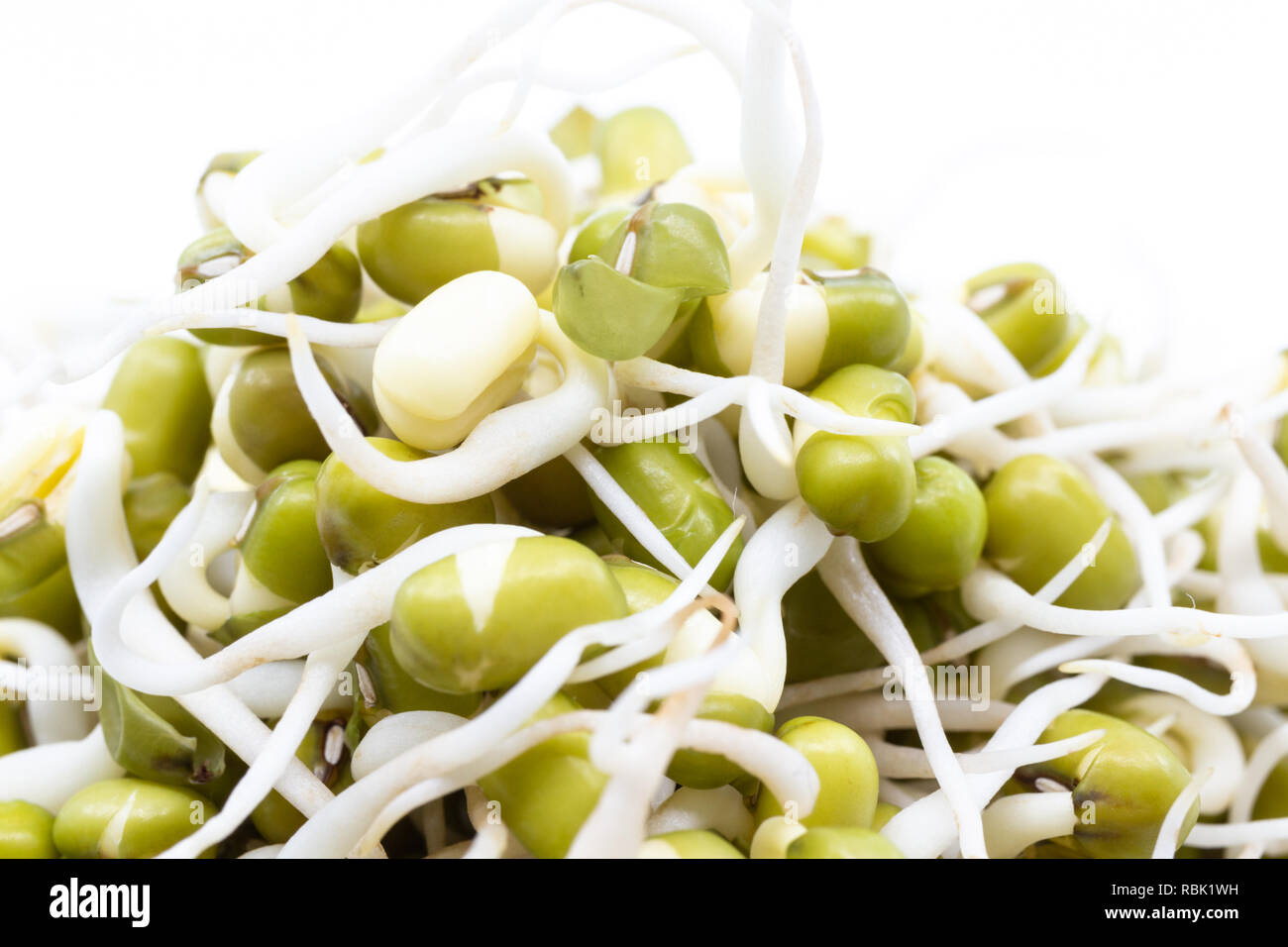 Mung bean germinating hi-res stock photography and images - Alamy