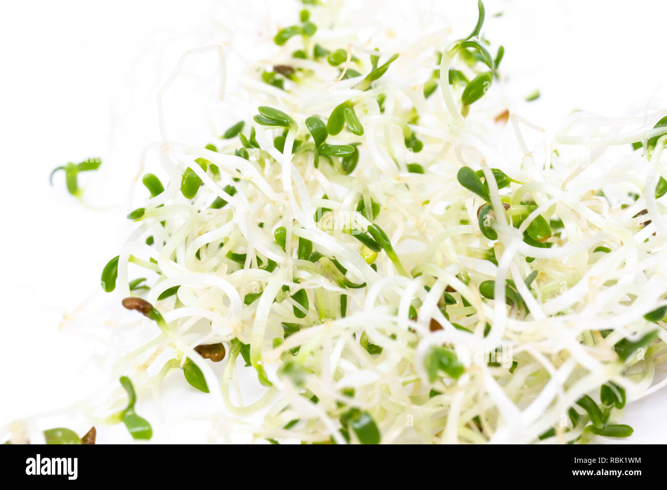 Closeup raw alfalfa sprouts hi-res stock photography and images - Alamy