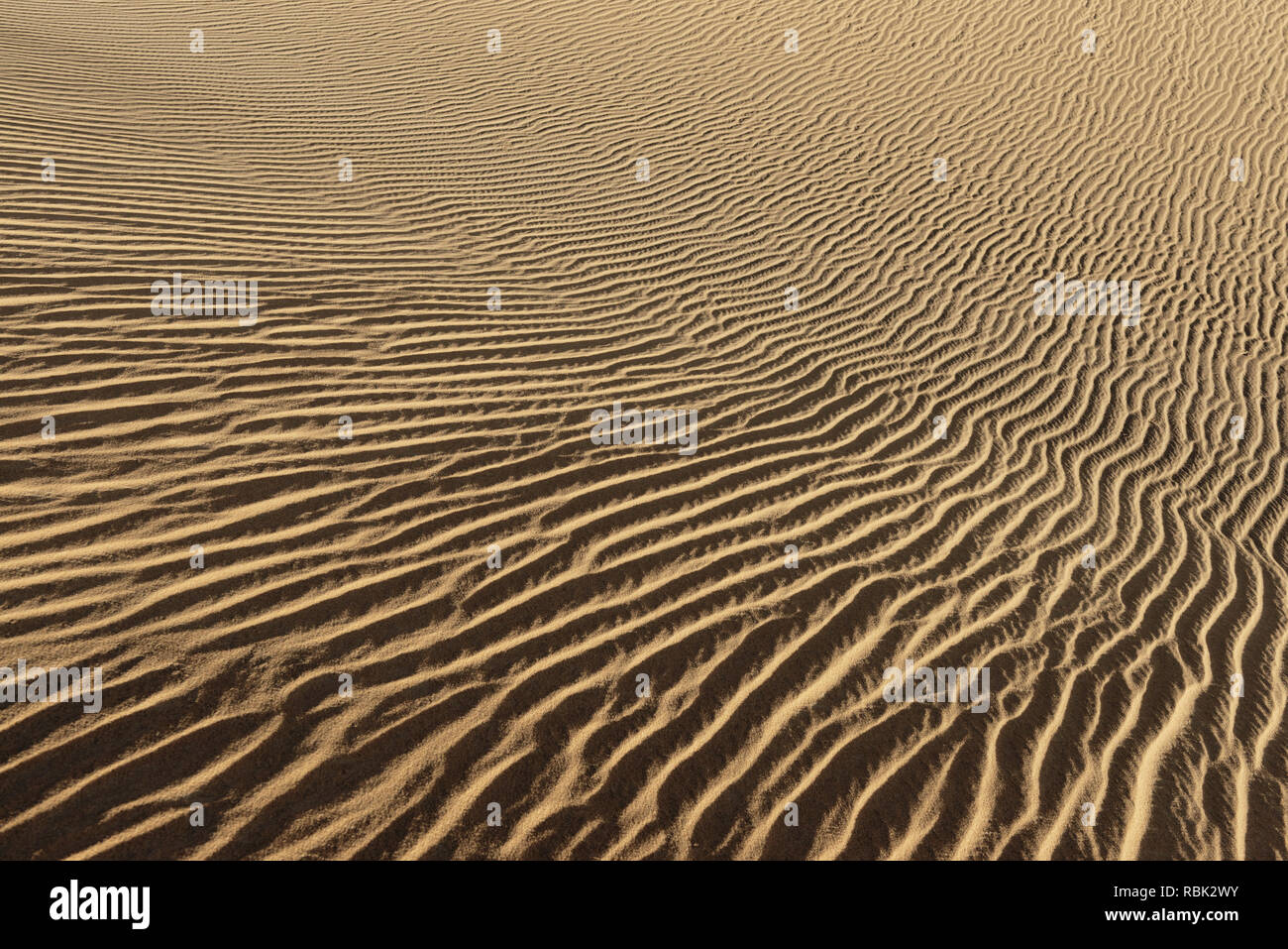 Abstract desert sand pattern shaped by low sunlight and wind formed ...
