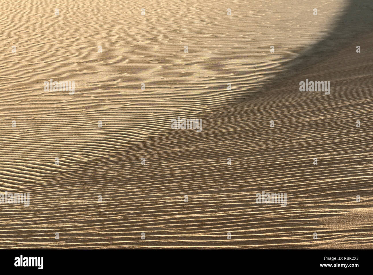 Abstract desert sand pattern shaped by low sunlight and wind formed ...