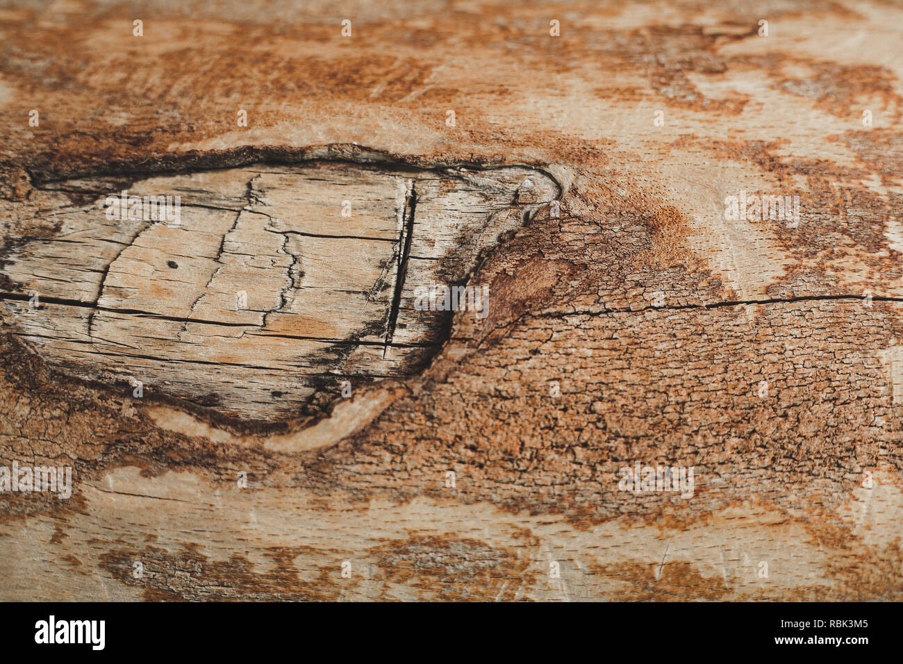 Scar on wood hi-res stock photography and images - Alamy
