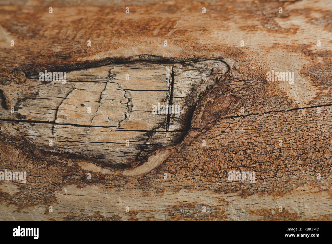 Scar on wood hi-res stock photography and images - Alamy