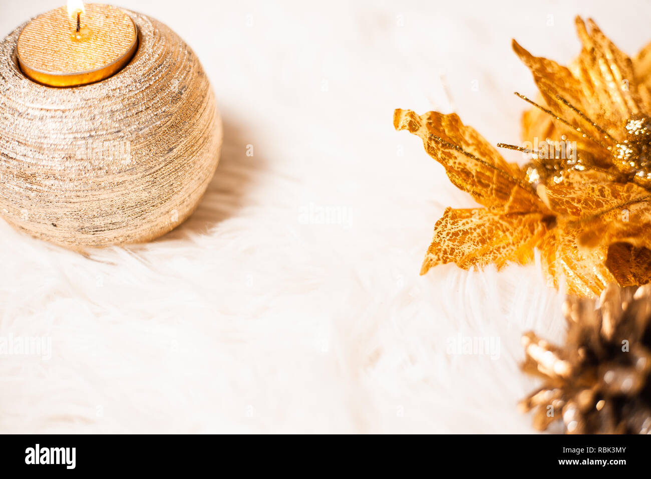 Golden flame tree hi-res stock photography and images - Alamy