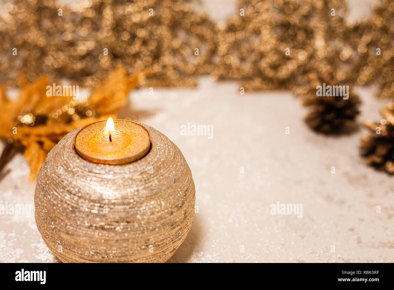 Golden flame tree hi-res stock photography and images - Alamy