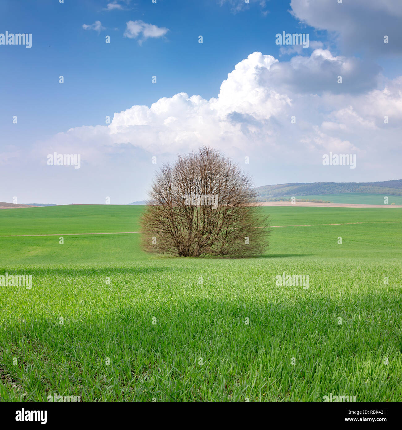 Lonely landscapes hi-res stock photography and images - Alamy
