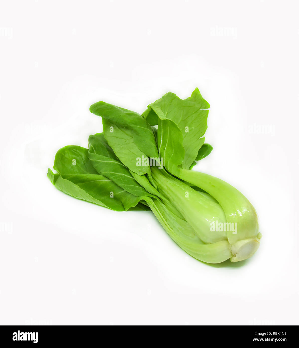 Pak choi growing Cut Out Stock Images & Pictures - Alamy