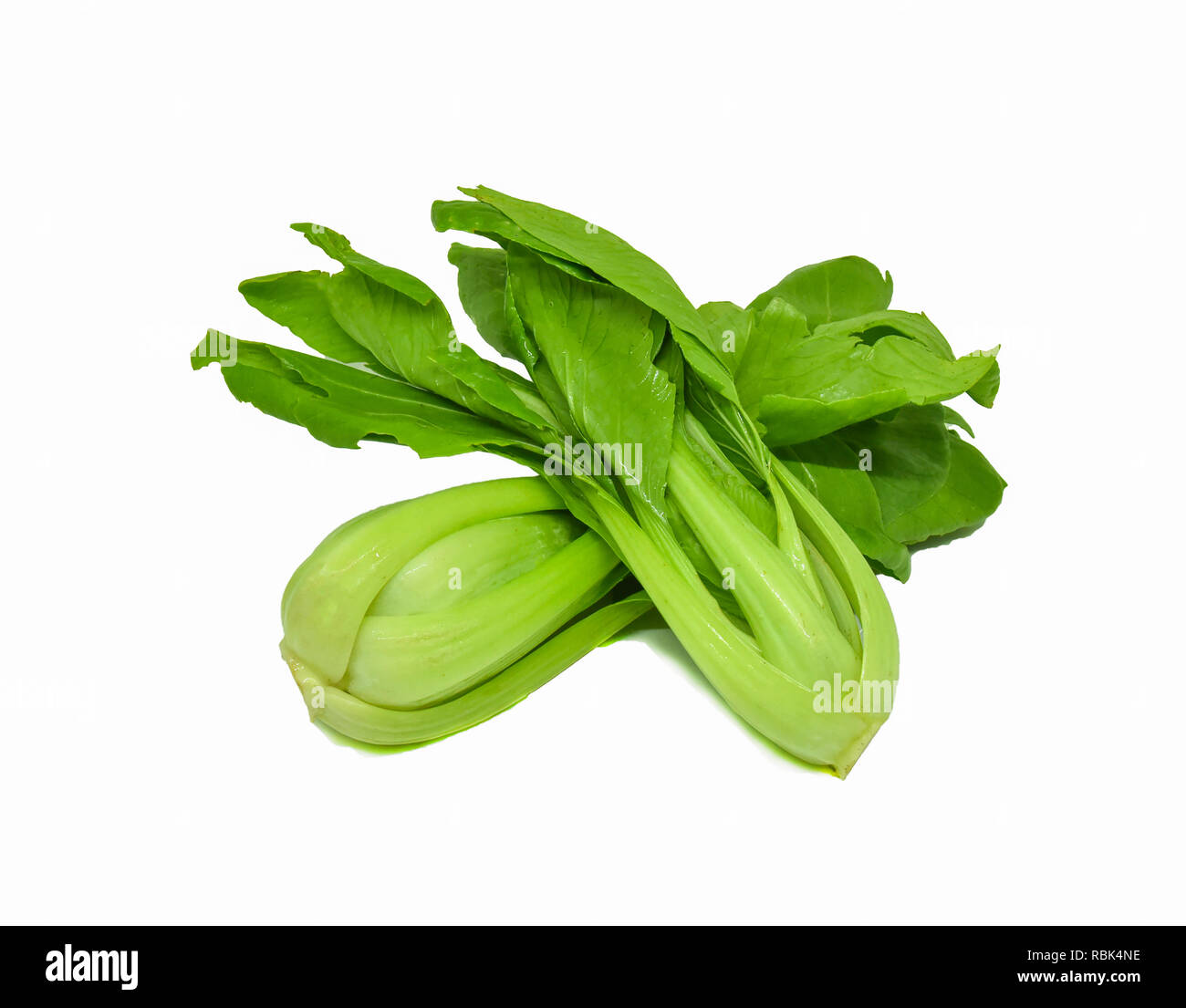 Pak choi growing Cut Out Stock Images & Pictures - Alamy