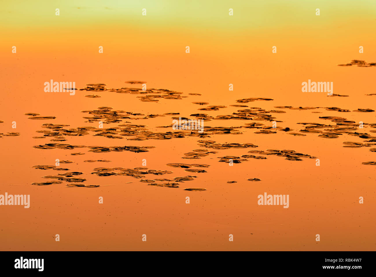 Sunrise skies reflected in the shallows of Halfway Lake, Halfway Lake ...