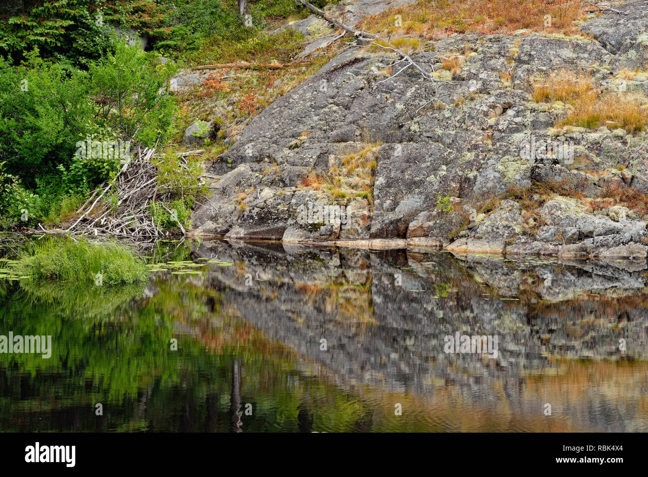 Granite outcrop reflected in a beaver pond, near Onaping Lake Road ...