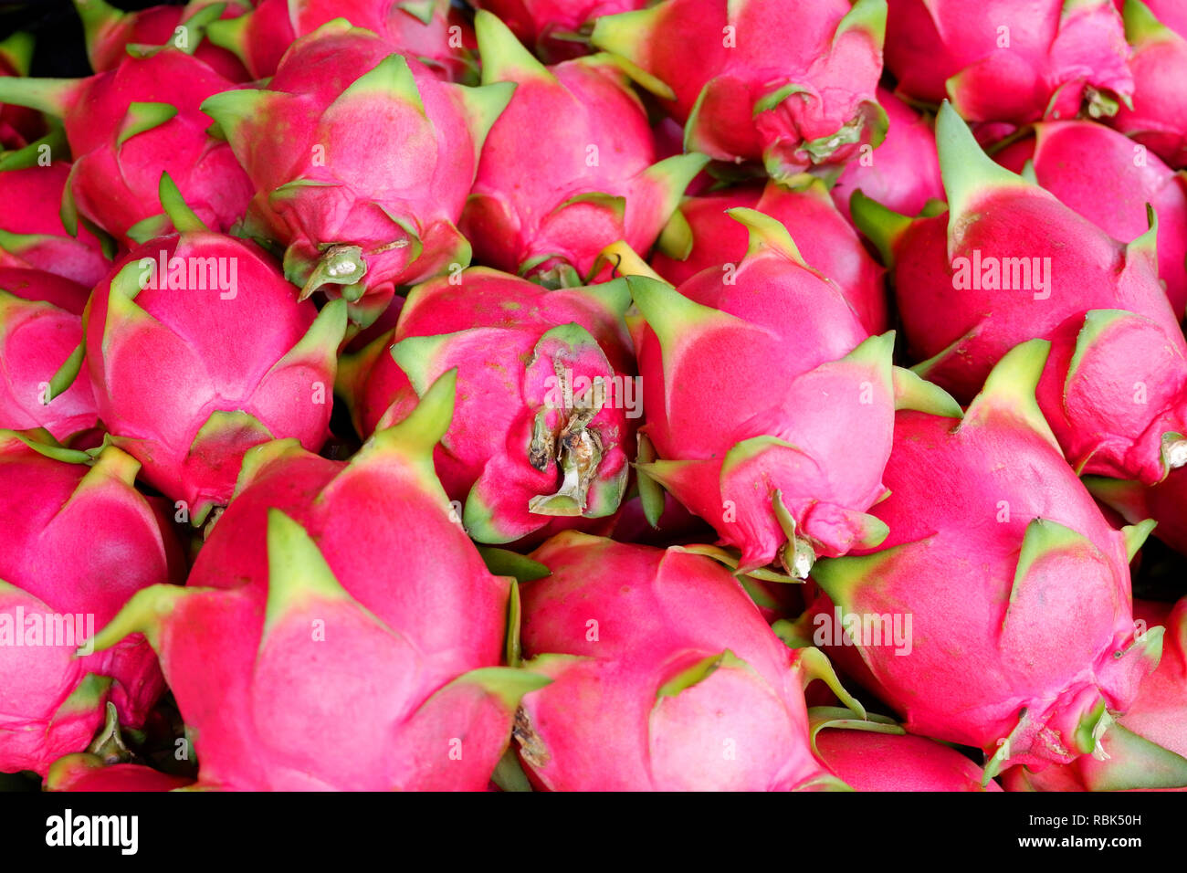 Dragon fruit texture background / fresh dragon fruit for sale in the ...