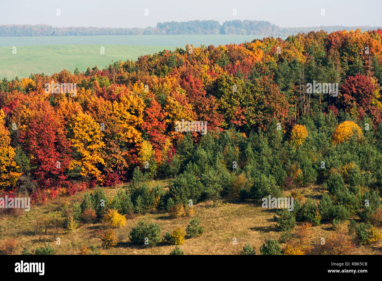 Ukraine and colorful trees hi-res stock photography and images - Alamy
