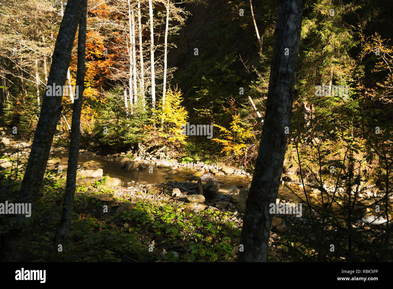 an autumn river, Ukraine Stock Photo - Alamy