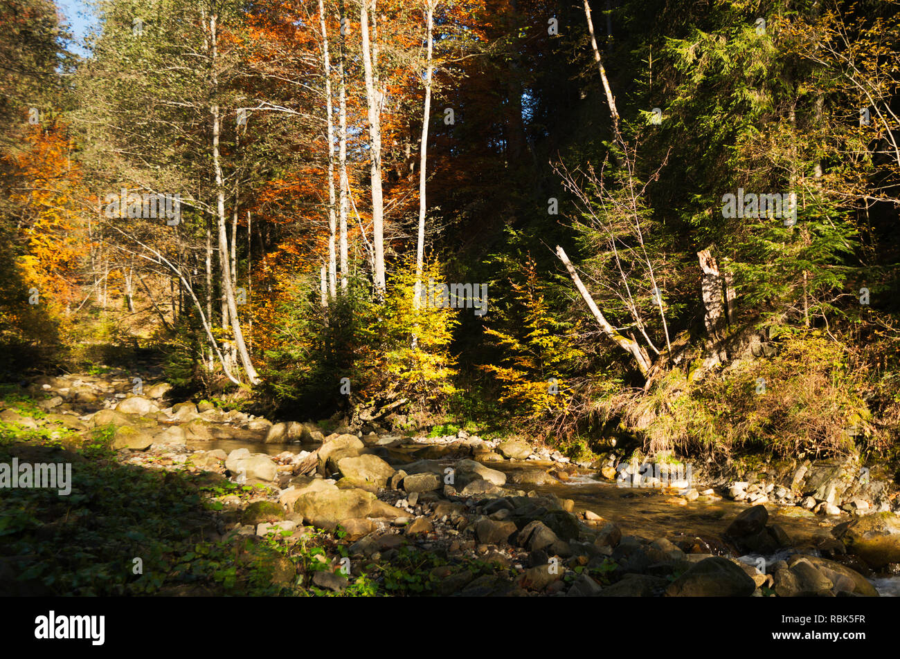 Autumn carpathians ukraine hi-res stock photography and images - Alamy