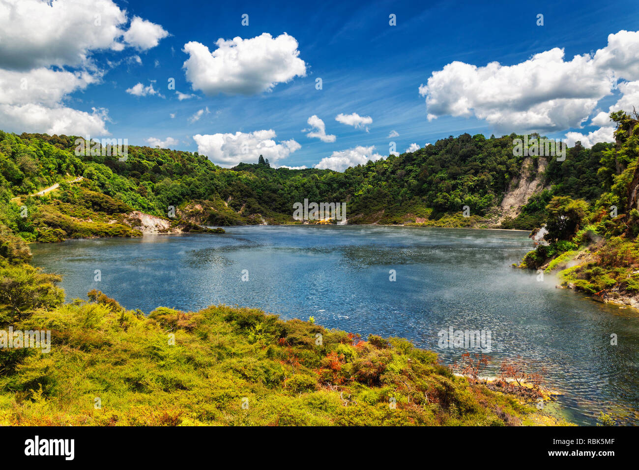 Frying pan lake view with steam in Waimangu volcanic valley park in ...