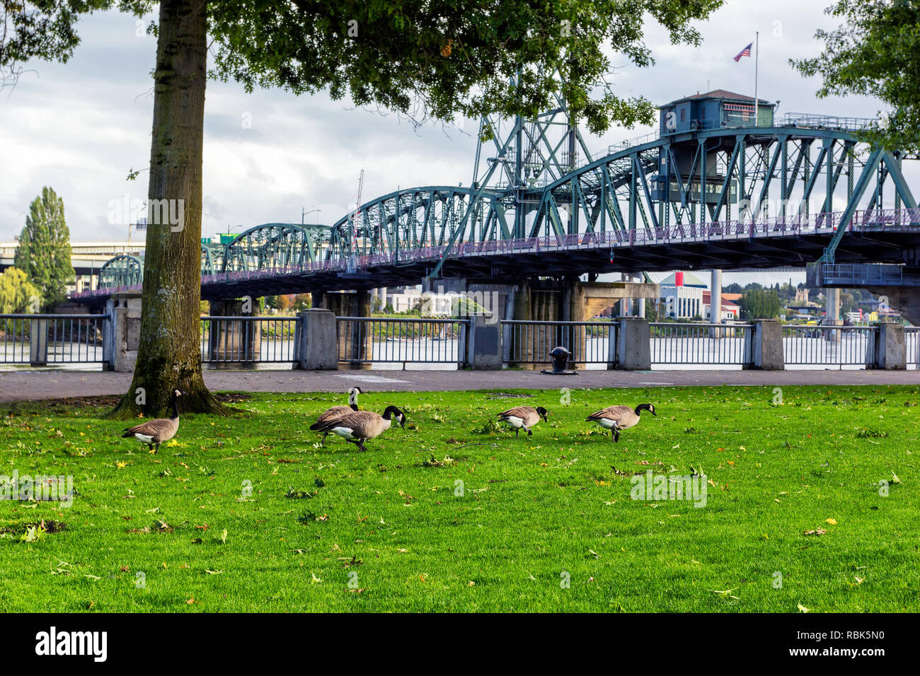 Tom mccall water park hi-res stock photography and images - Alamy