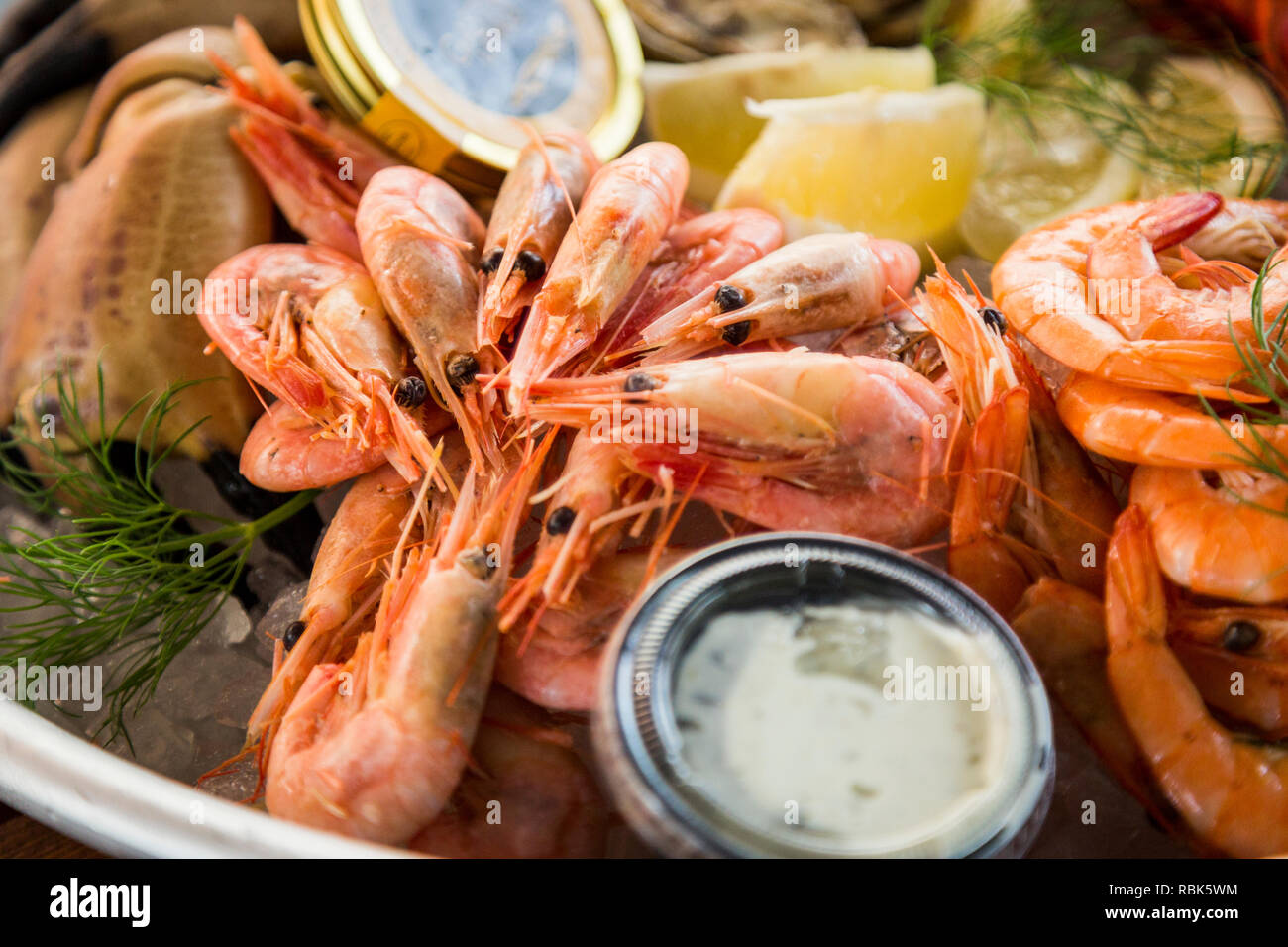 Delicious and sustainable seafood, straight from the fisherman boat to ...