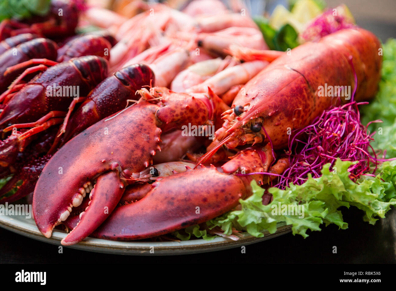 Delicious and sustainable seafood, straight from the fisherman boat to ...