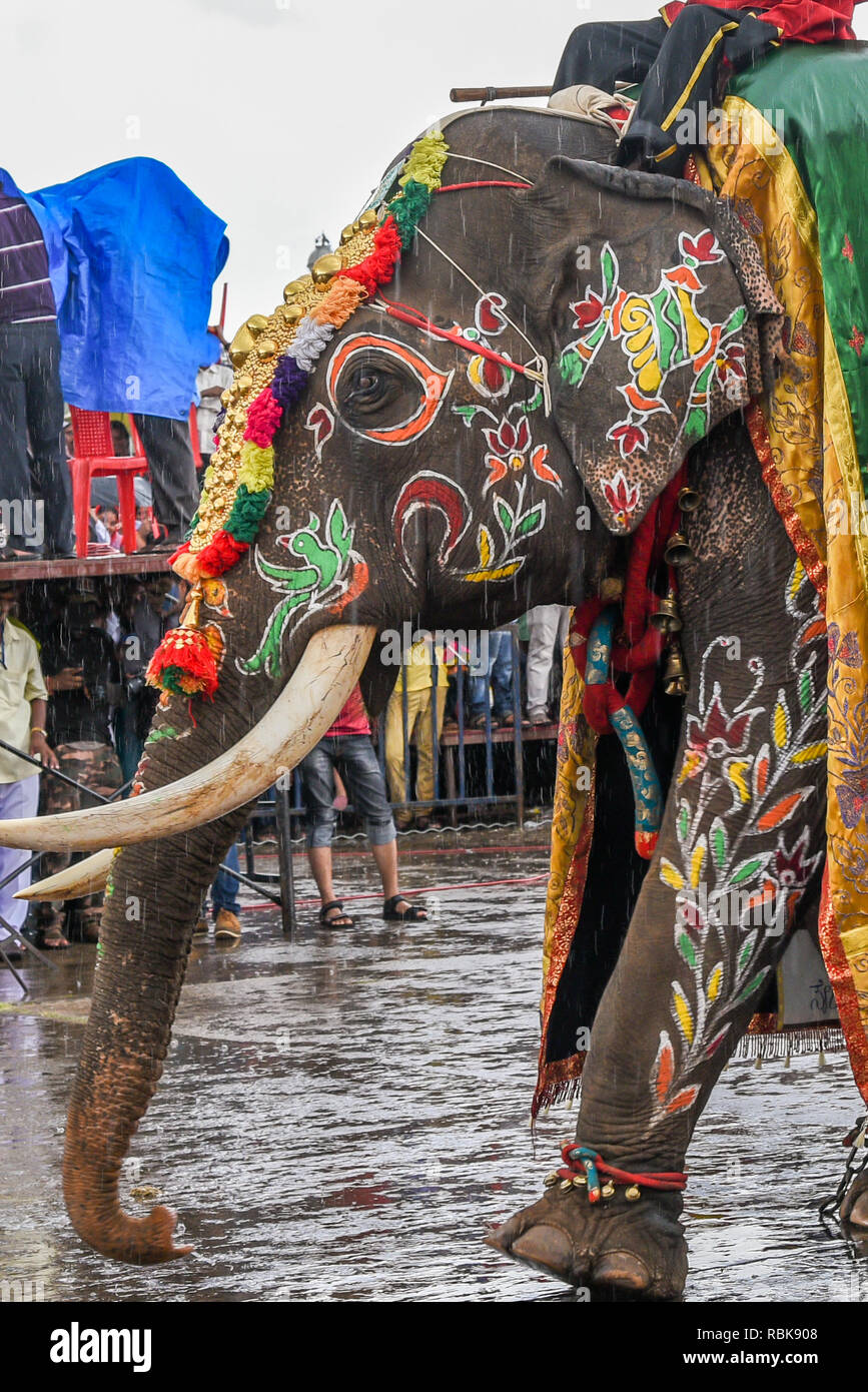 Mysore dasara elephant hi-res stock photography and images - Alamy