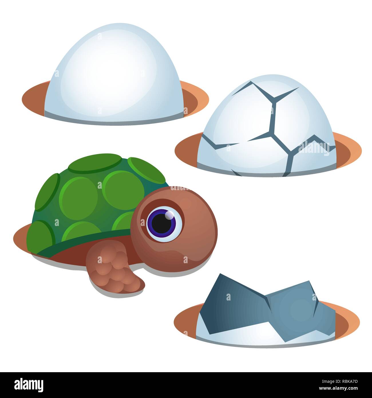 Little Turtle High Resolution Stock Photography and Images - Alamy