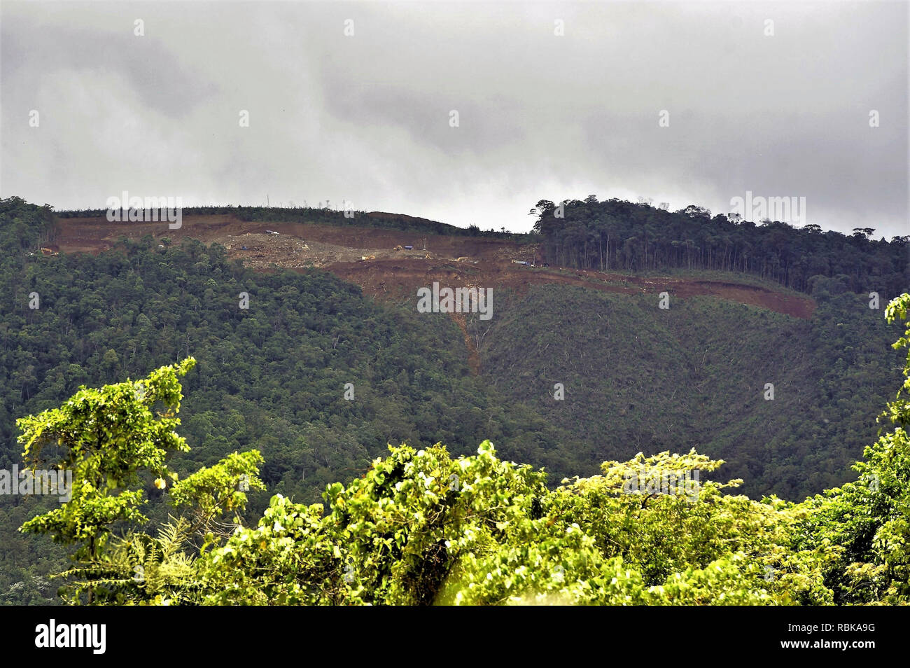 Mining - Impact on the Environment - Deforestation due to mining ...