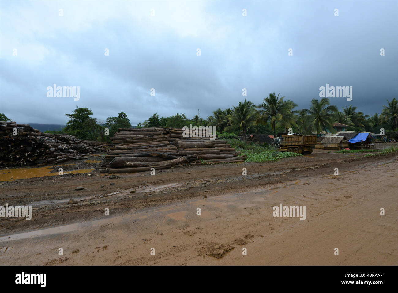 Logged – Native forest timber cut down to make way mining activity now ...