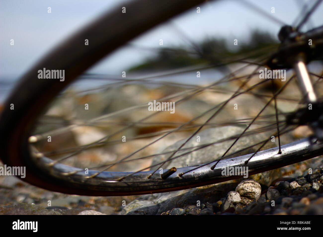 Bicycle tire laying on rocky beach Stock Photo - Alamy