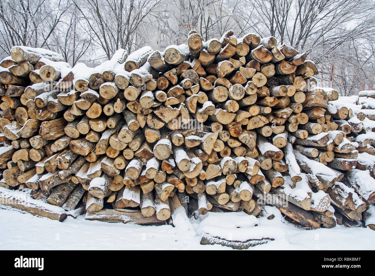 Snow covered firewood stack hi-res stock photography and images - Alamy