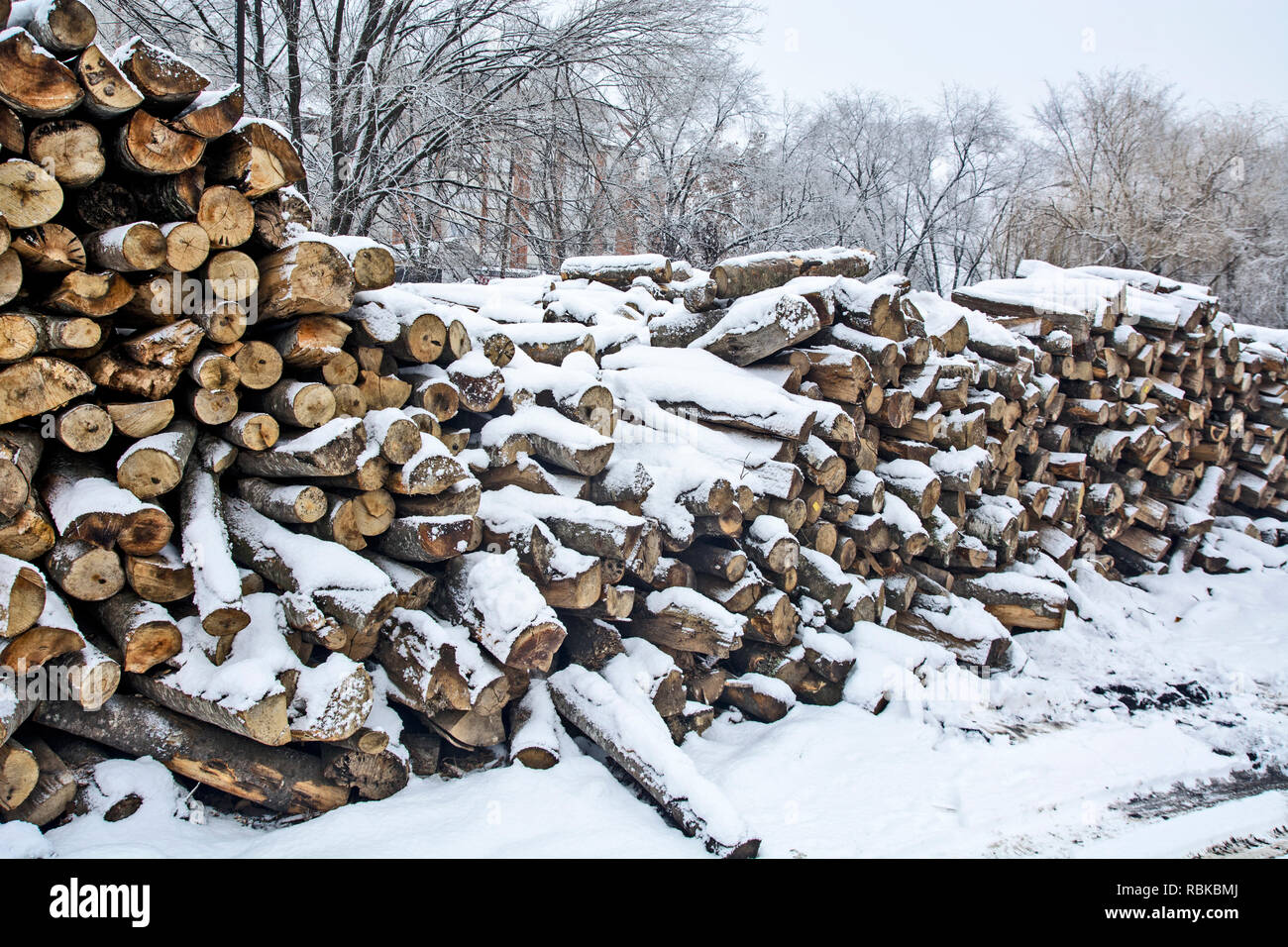 Snow covered firewood stack hi-res stock photography and images - Alamy