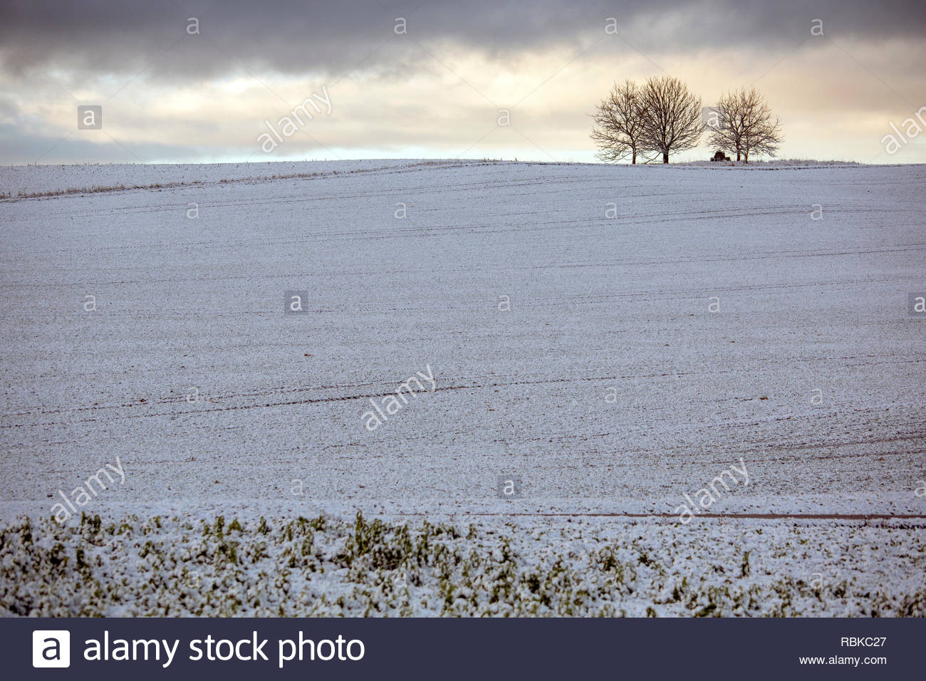 Regional coburg in franconia hi-res stock photography and images - Alamy