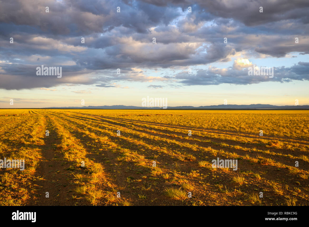 Far reaching empty land with dramatic cloudy sky at sunset in Gobi ...