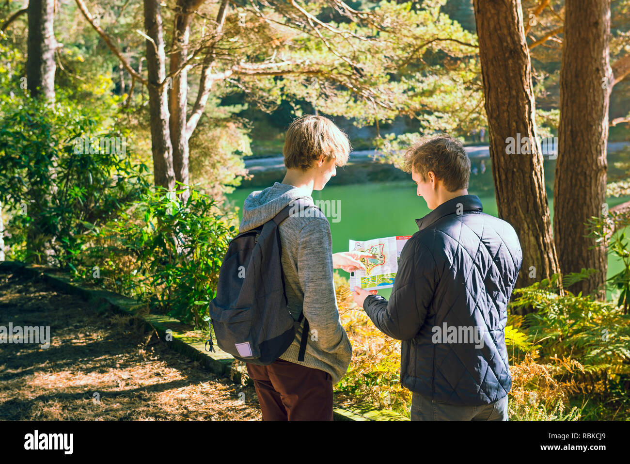 Back view two friends, brothers looking at map, navigating during ...