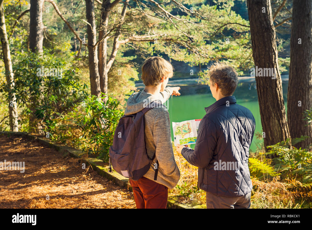 Back view two friends, brothers looking at map, navigating during ...