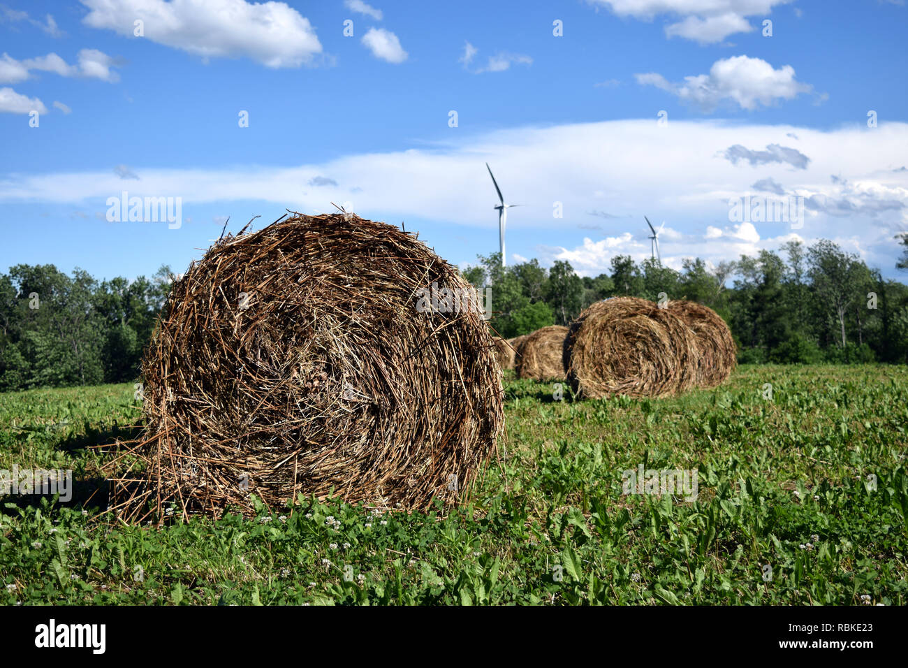 Bale mill hi-res stock photography and images - Alamy