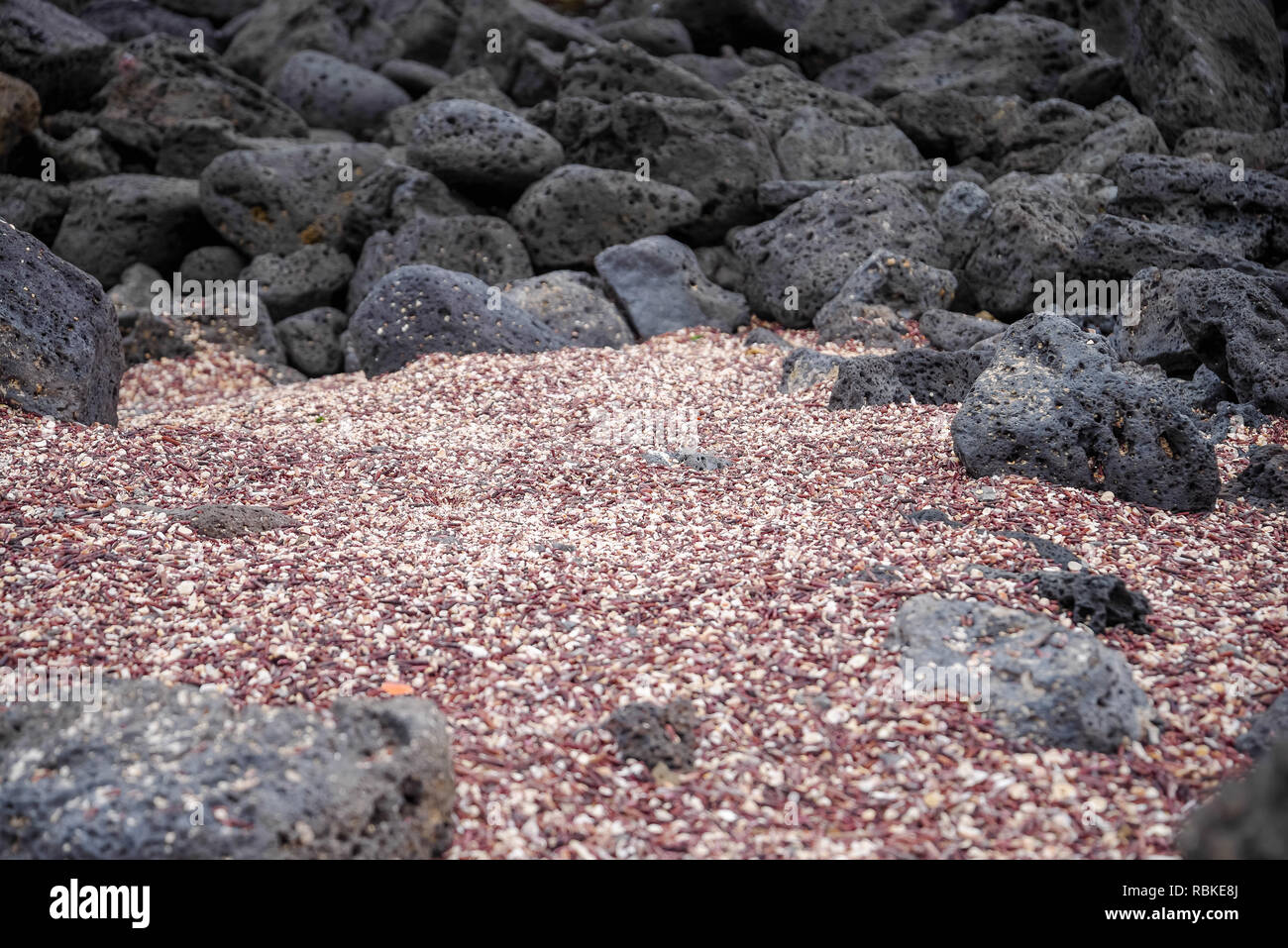 Lava_rock hi-res stock photography and images - Alamy
