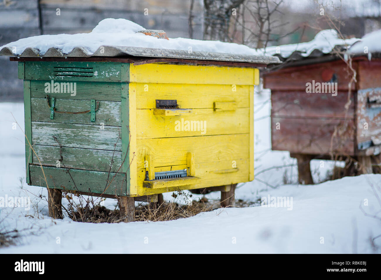 Group beehives in the winter garden with snow covering. Unpacking ...