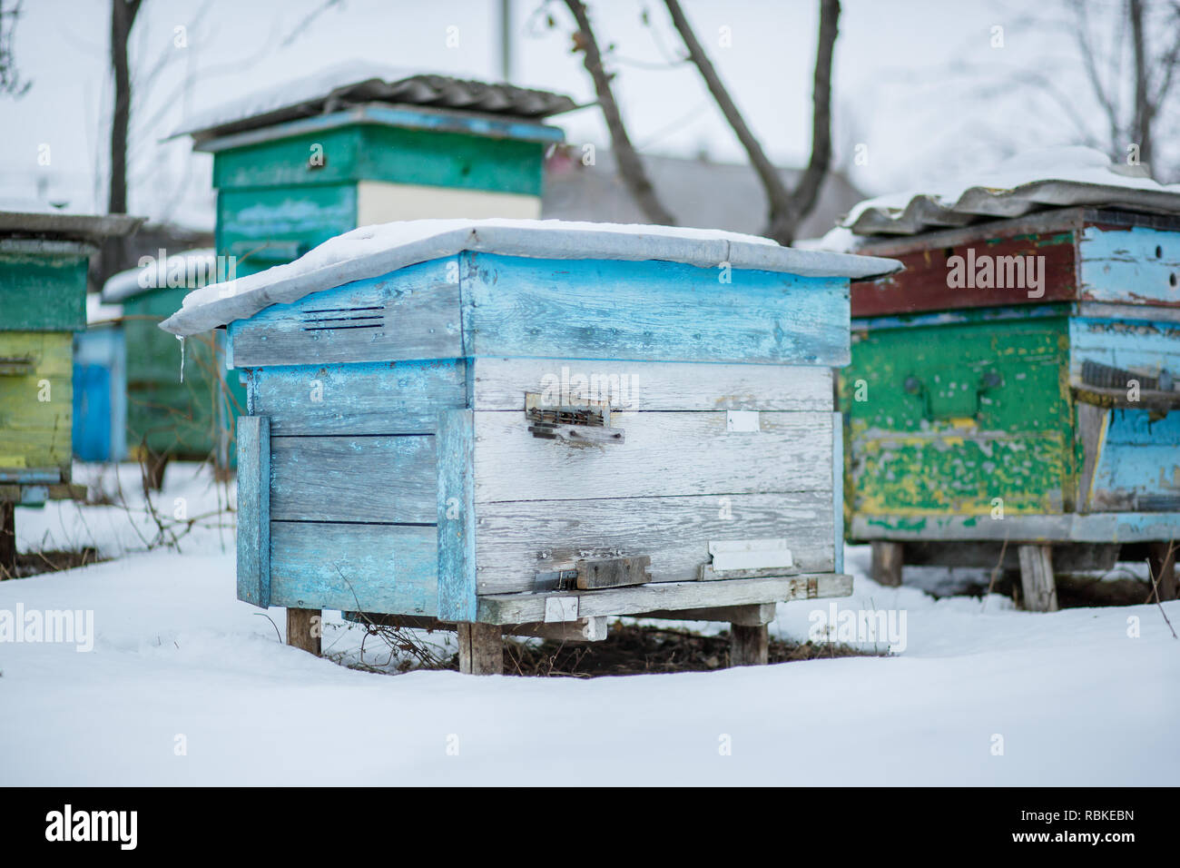 Group beehives in the winter garden with snow covering. Unpacking ...