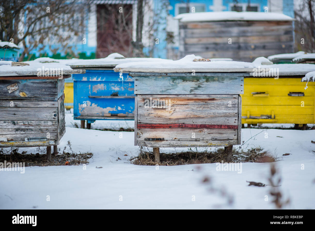 Group beehives in the winter garden with snow covering. Unpacking ...