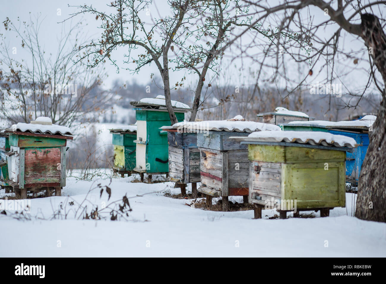 Group beehives in the winter garden with snow covering. Unpacking ...